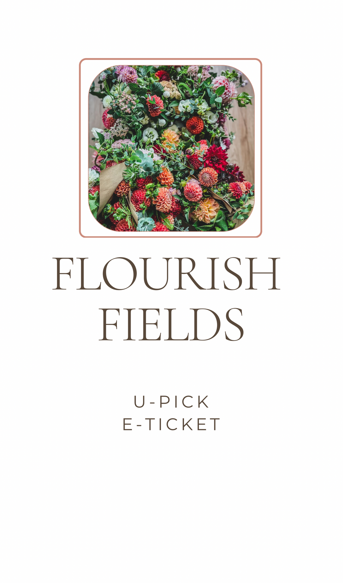 Farm Stand and U-Pick Flowers – Flourish Fields